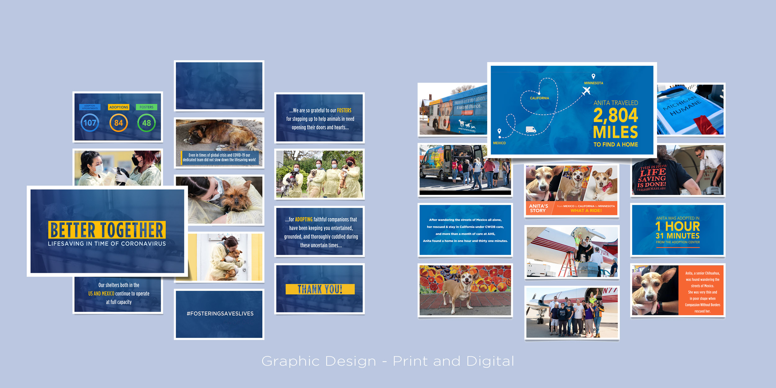 Graphic Designer – Presentations – Victoria Von Thal | Visual ...